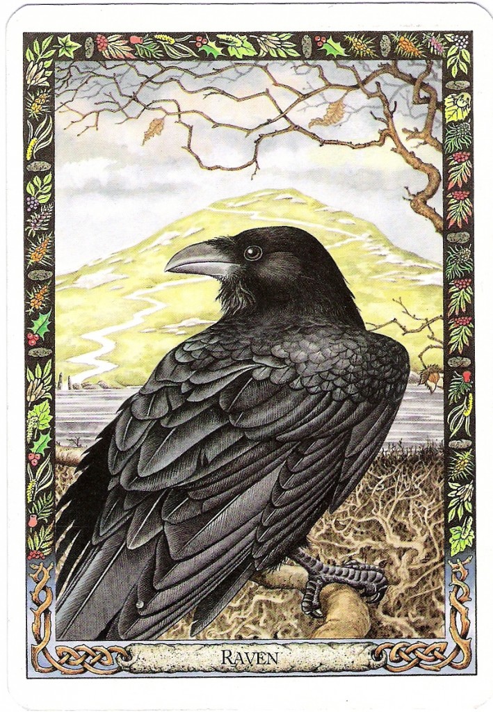 Bran and Branwen, Three Unfortunate Disclosures and Ravens at the Tower ...